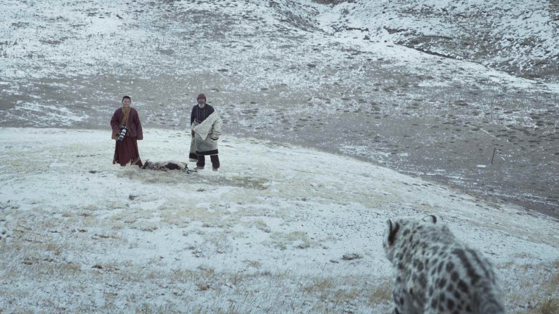 Festival de Venecia 2023: crítica de "Snow Leopard", de Pema Tseden (Fuera de competencia ...