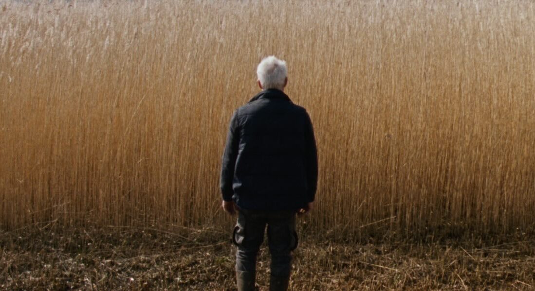 Cannes 2025: crítica de "Reedland" ("Rietland"), de Sven Bresser ...